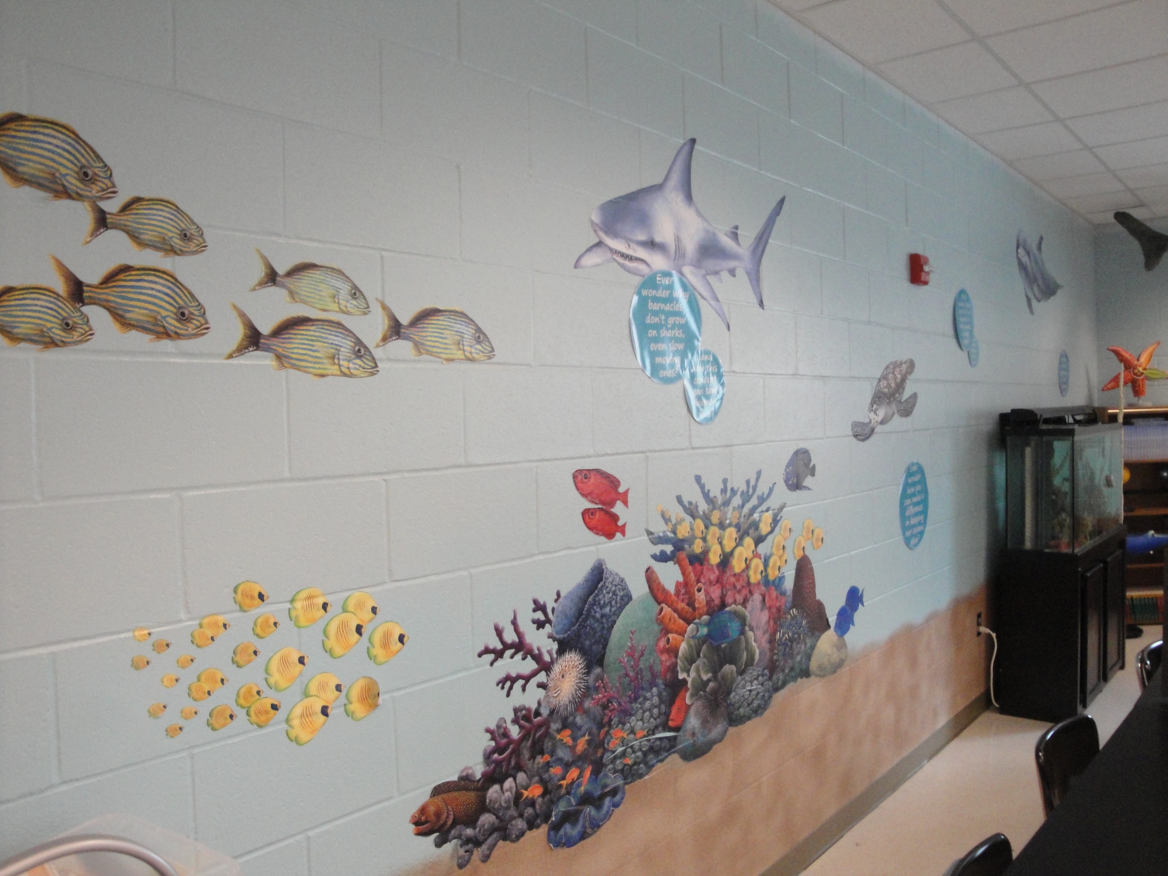 Ocean Classroom Design - Living Porpoisefully