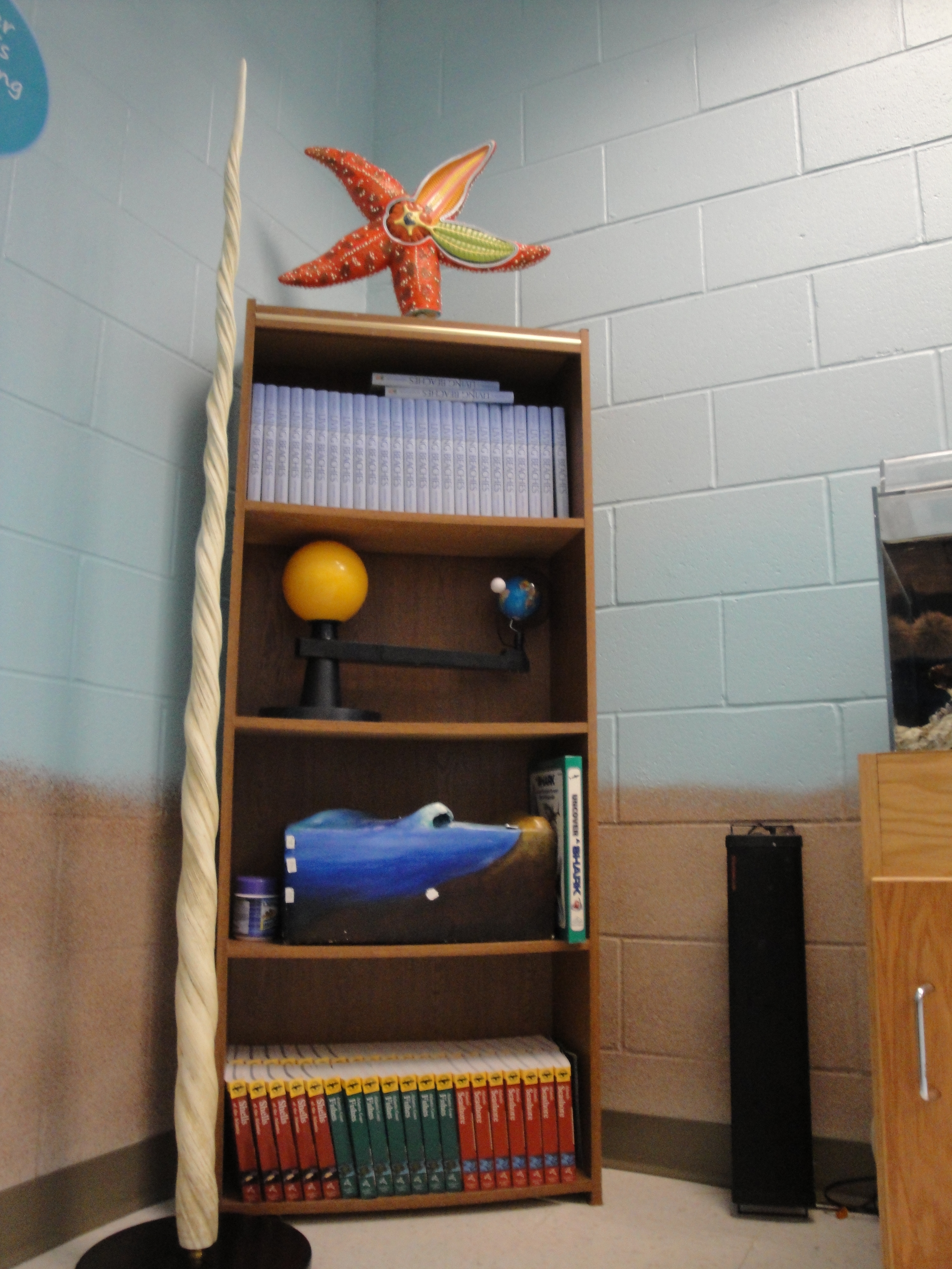 Ocean Classroom Design - Living Porpoisefully