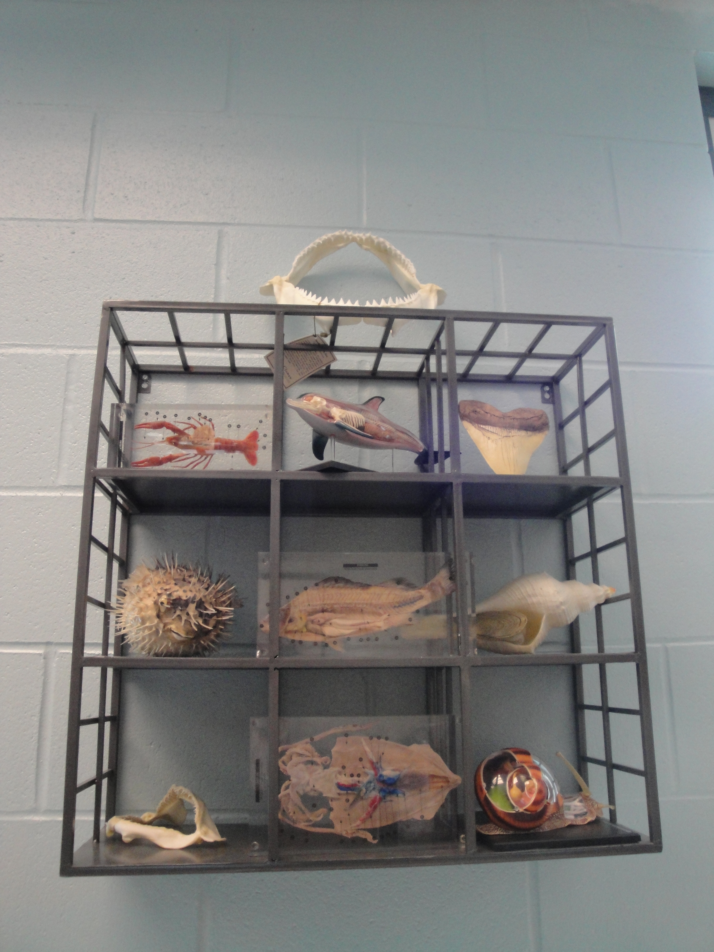 Ocean Classroom Design - Living Porpoisefully