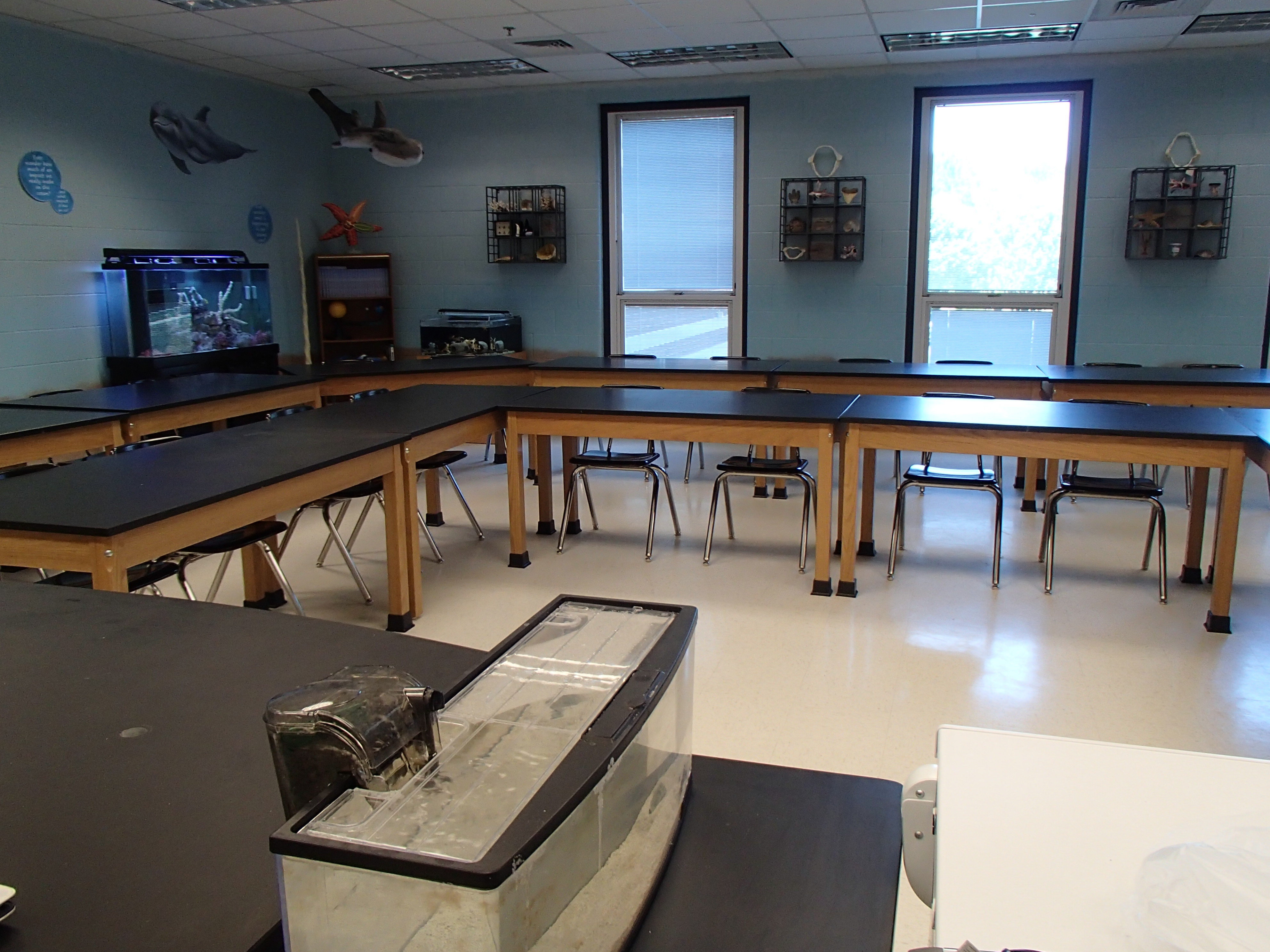 Ocean Classroom Design | Living Porpoisefully