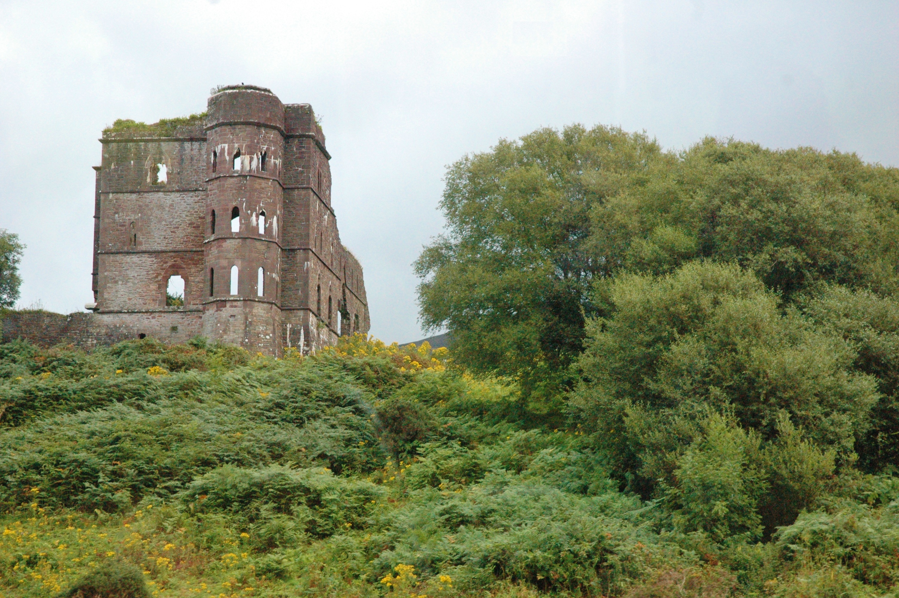 6 Fairytale Days in Ireland | Living Porpoisefully