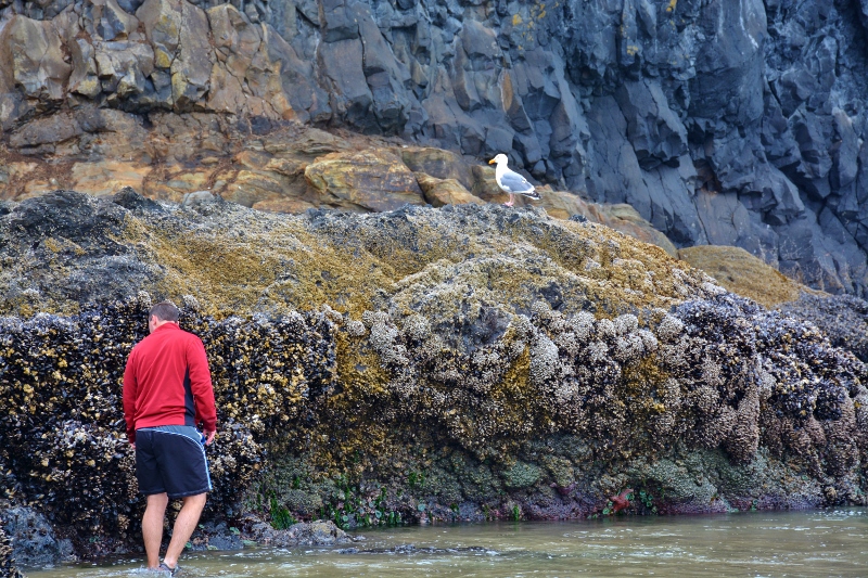 Cannon Beach, Oregon: An Unforgettable Romantic Getaway - Living ...