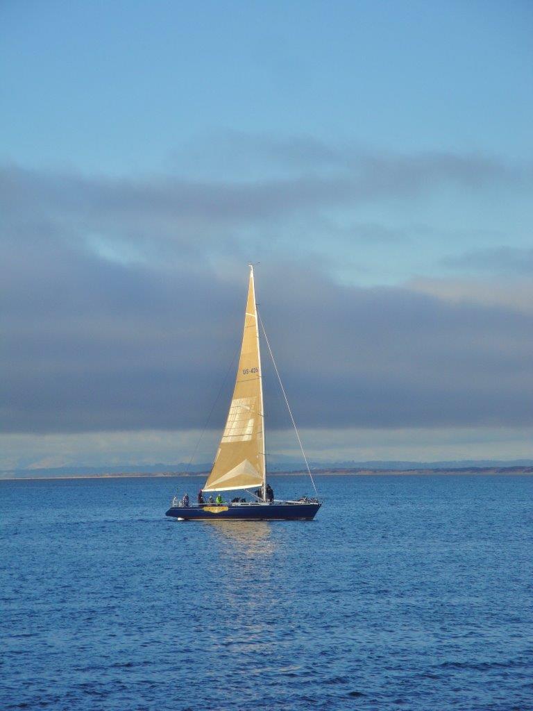 Central California Coast 8 Day Travel Vacation Guide - Living Porpoisefully